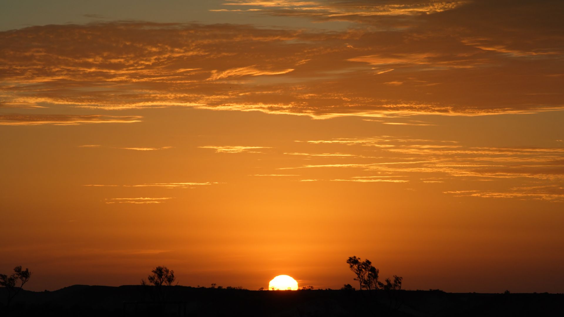 Safely Storing Skip Bins in the Australian Sun